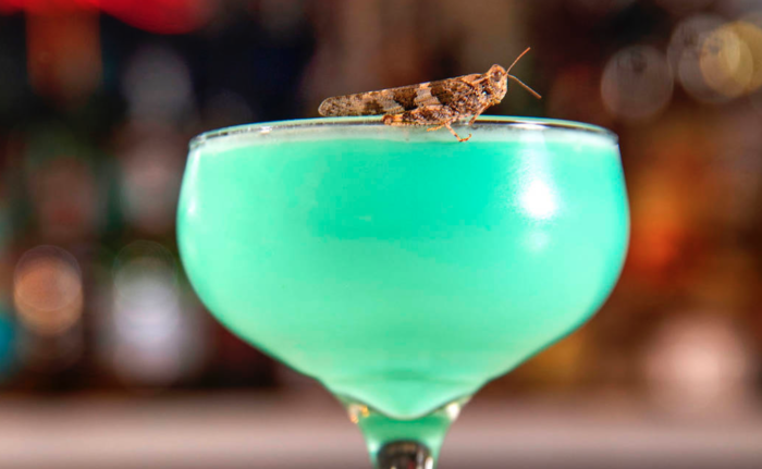 Las Vegas grasshopper invasion sparks drink specials - DTP Companies